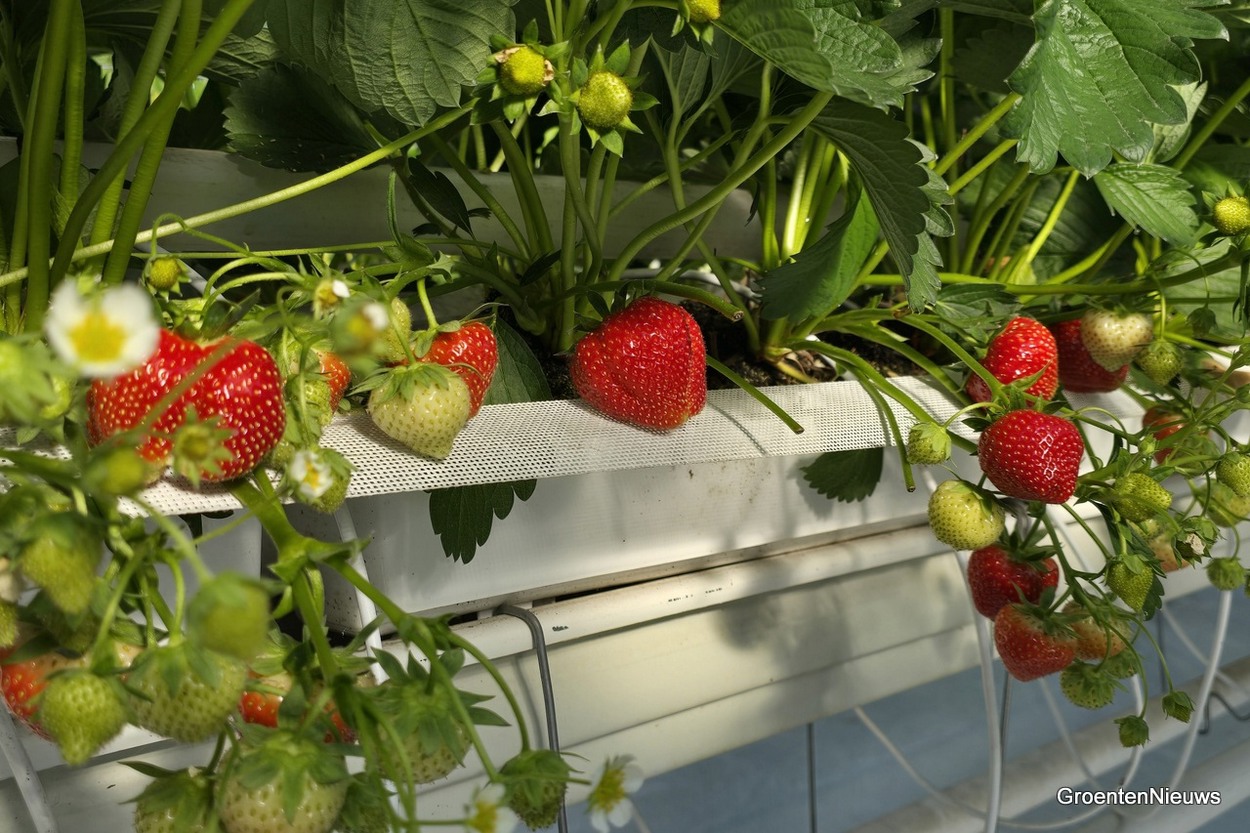 “What if you could predict the unpredictable?”