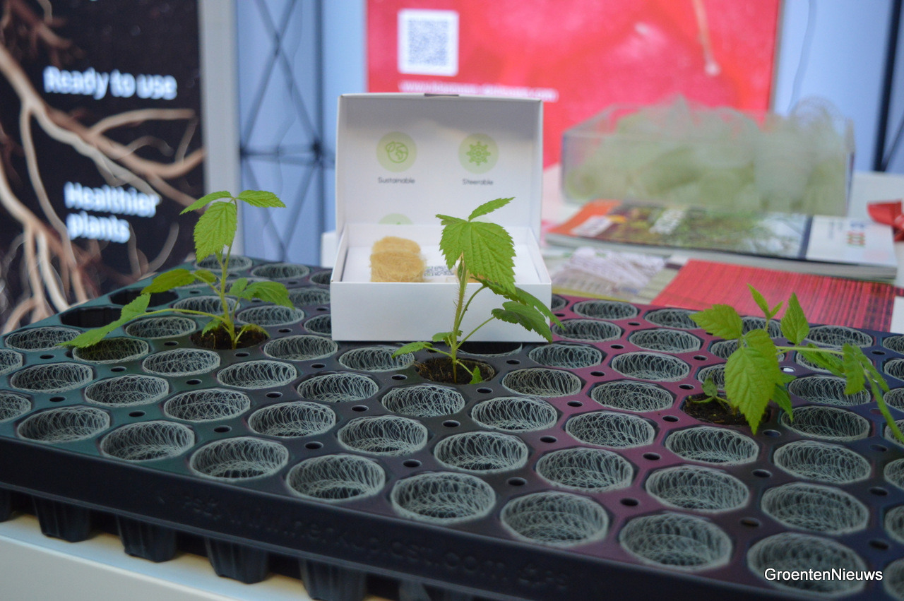 International Soft Fruit Conference 2024, Den Bosch, Netherlands