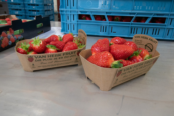 The strawberry punnet reinvented
