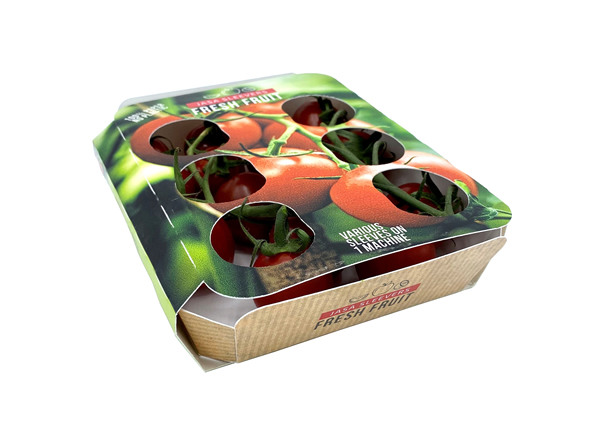 New multifunctional paper tray line and new solution for sealing and ...