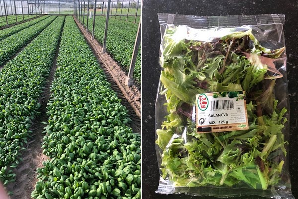 Grower in the Spotlight