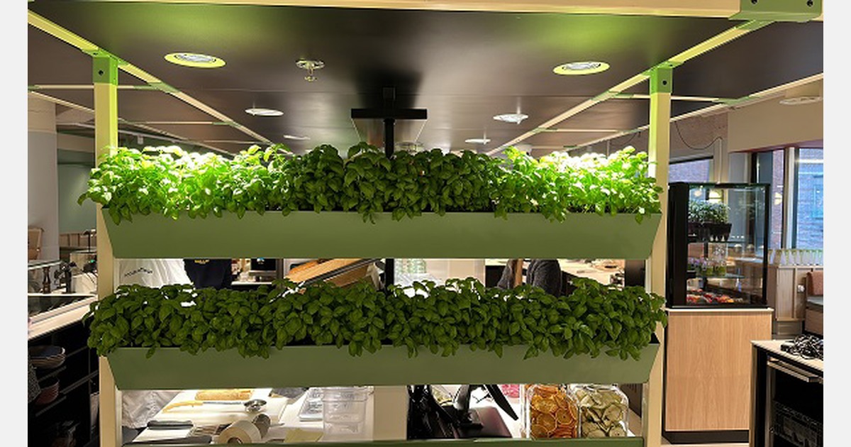 Vitacress Real greening La Place food concept in Hema