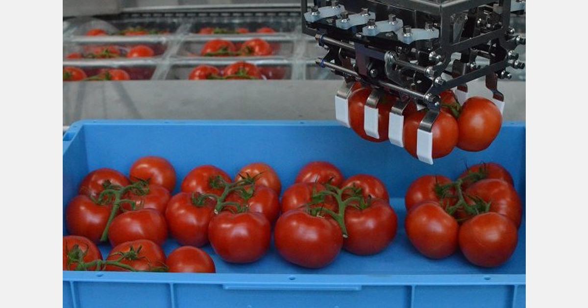 "Making salad with smart robots"
