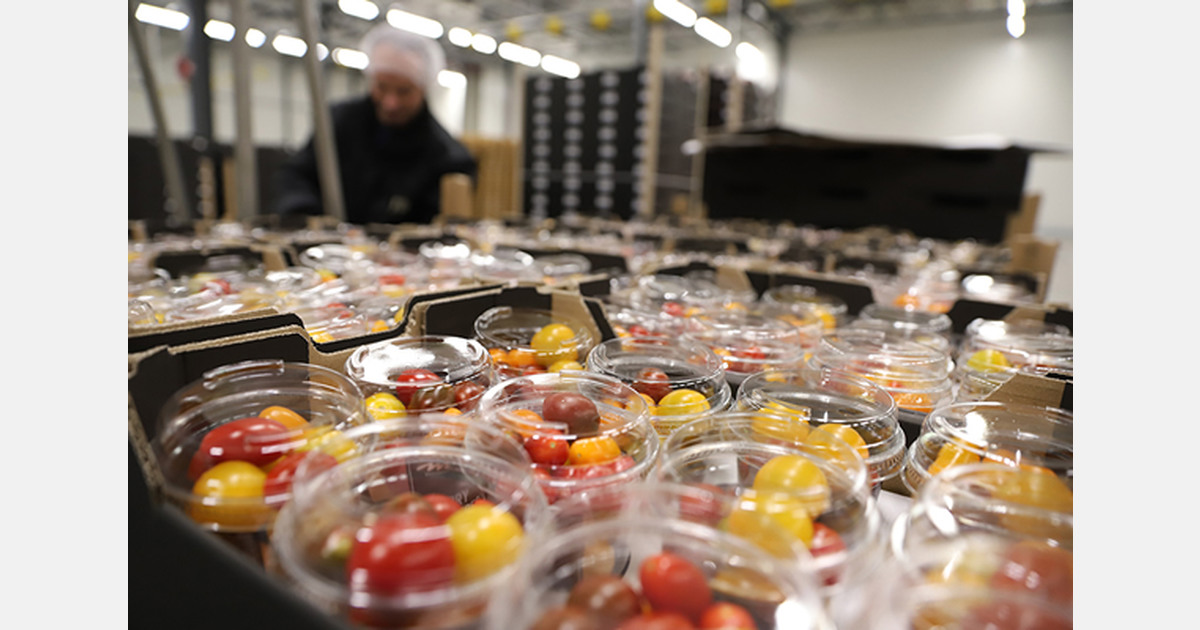 "Fruit and vegetable exports to overseas markets picking up well; we ...