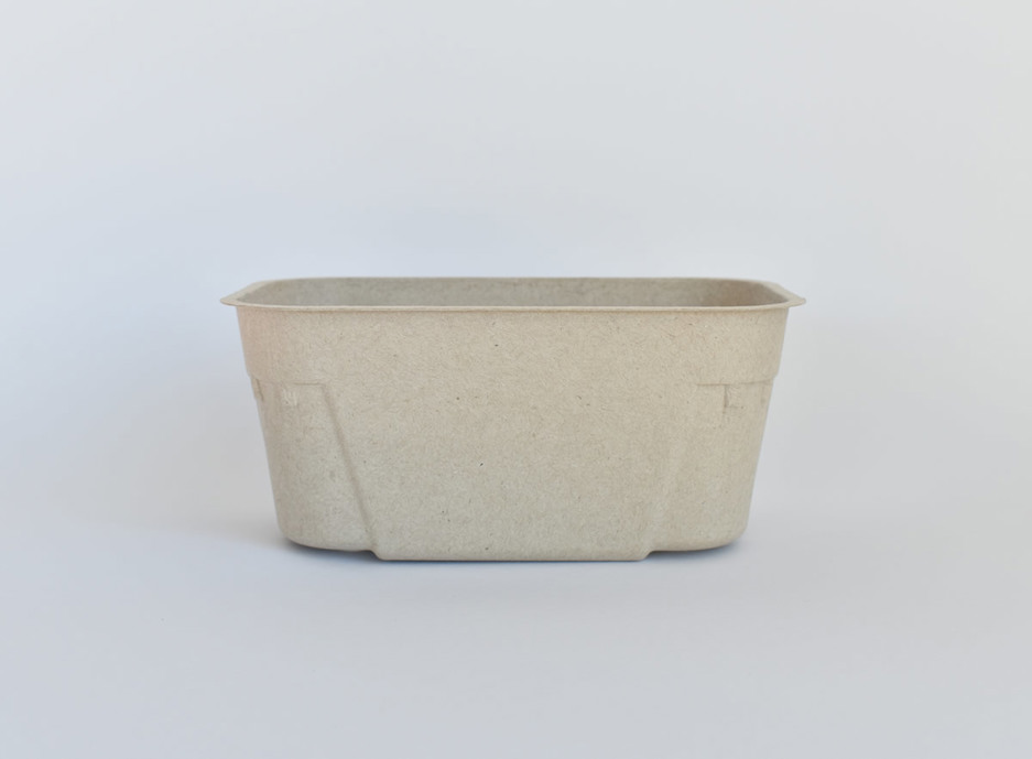 Dutch family business ventures into pulp packaging