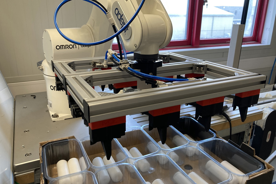 New gripper automates fruit and vegetable punnet packaging process
