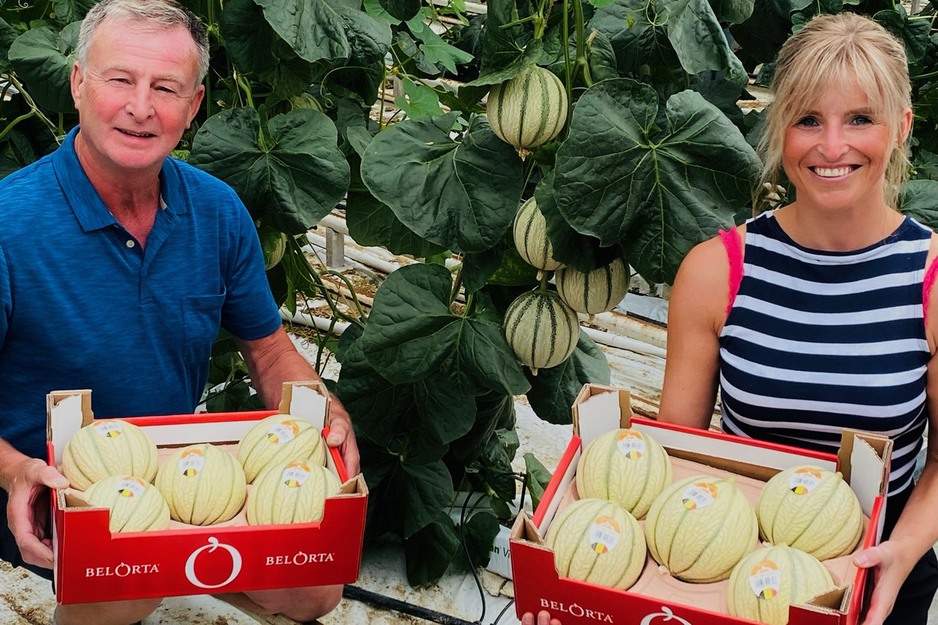 BelOrta kicks off season of Belgian melon