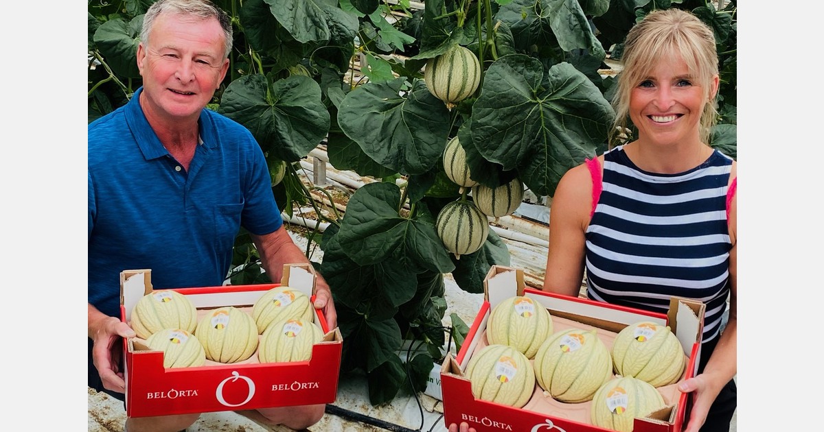 BelOrta kicks off season of Belgian melon