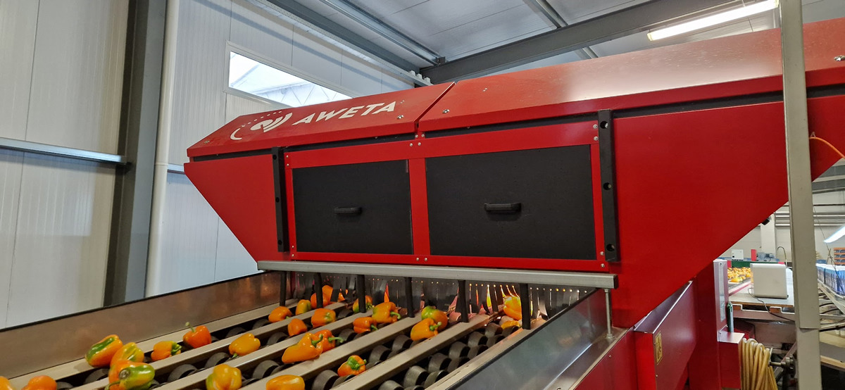 Smart parameters for peppers