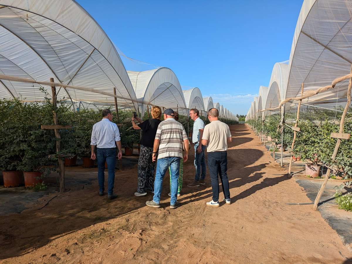 "Horticulture in Morocco makes great strides"