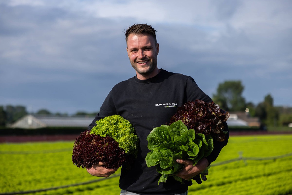 "French salad fits seamlessly with our summer season"