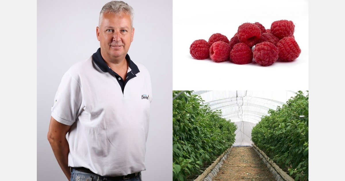 "I believe Spanish raspberry production has reached its lowest point."