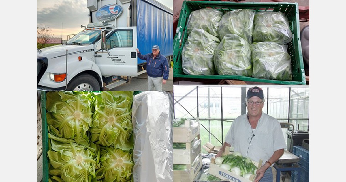 “Low lettuce sales appear increasingly structural”