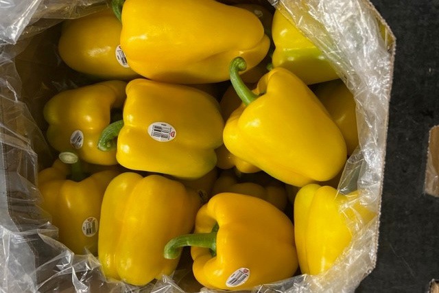 "Year-round supply of Mexican peppers under Lissy's brand for North ...