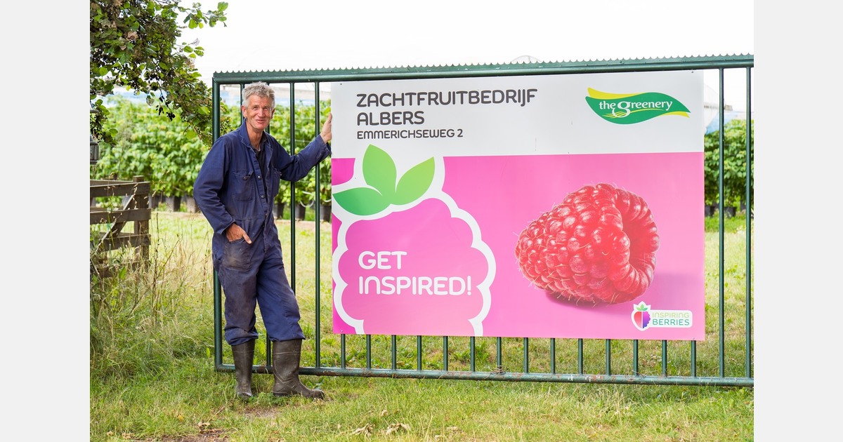 "Solar panels above raspberries ideal against heat and rain damage"