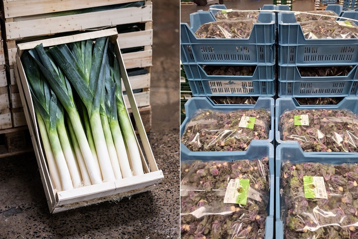 "The painful truth is that there will be no improvement in outdoor ...