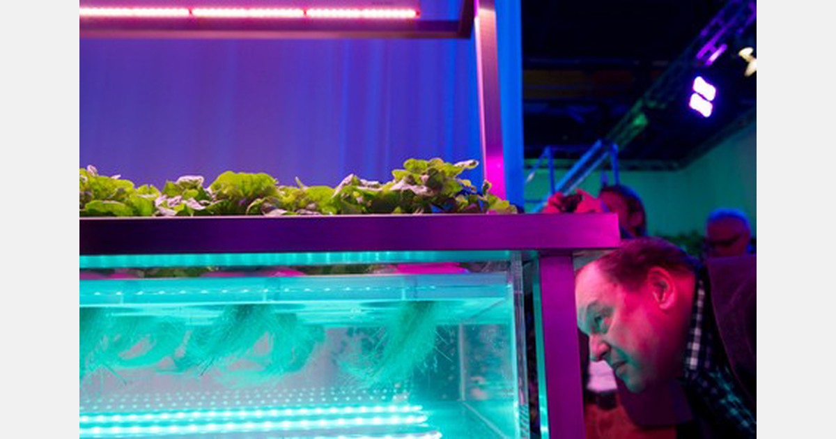 Philips sees opportunity for the apply of LED in urban farming