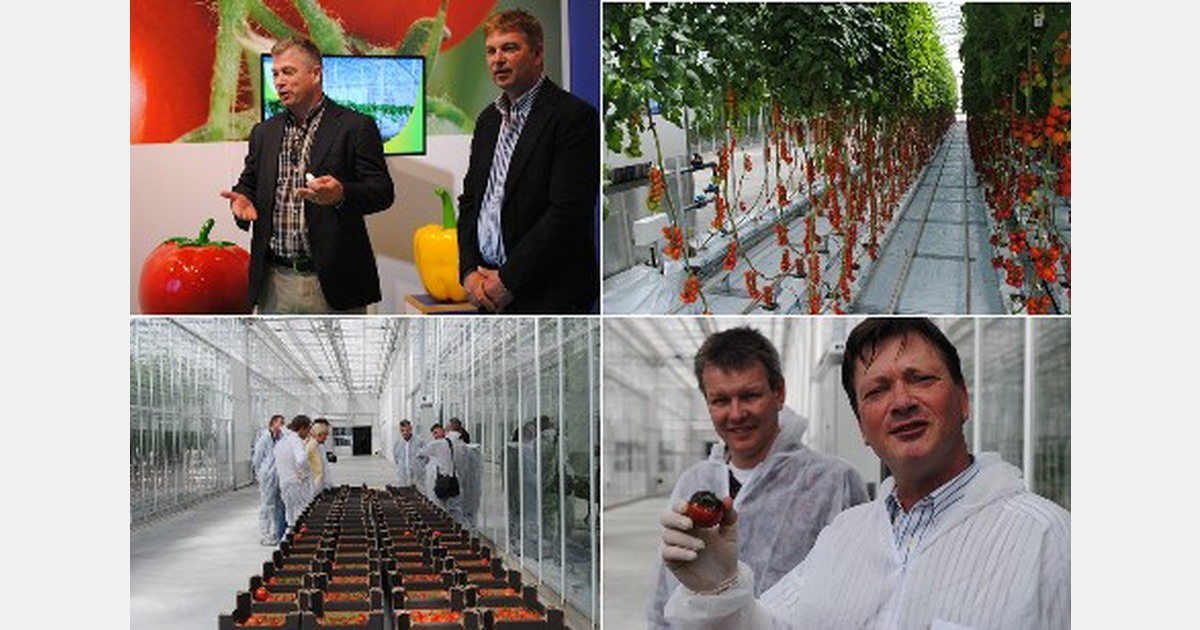 New Dutch seed breeder Axia starts with tomato variety trials this Summer