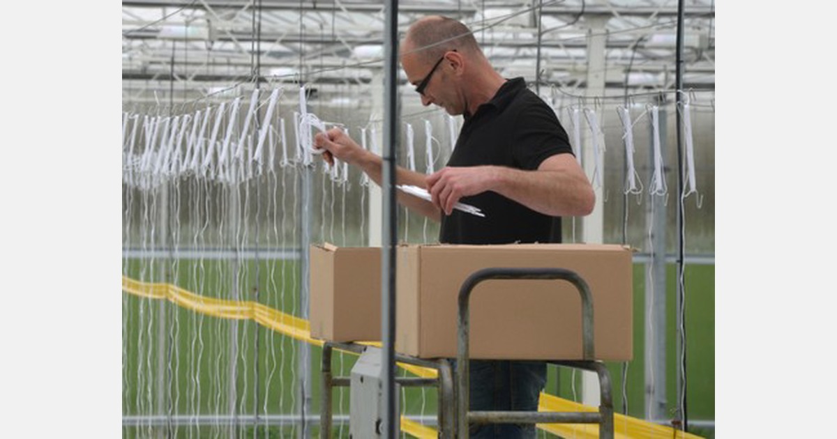 Canada: Eliminate slips, trips and falls on the farm