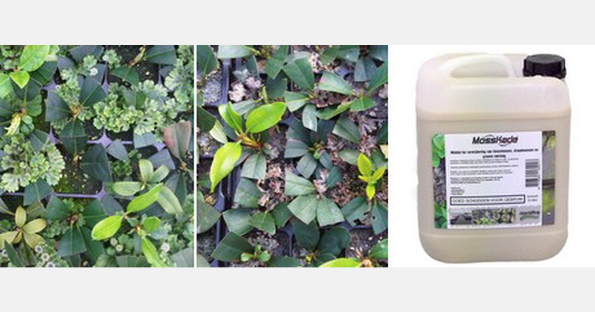 Europe: Fight moss with MossKade