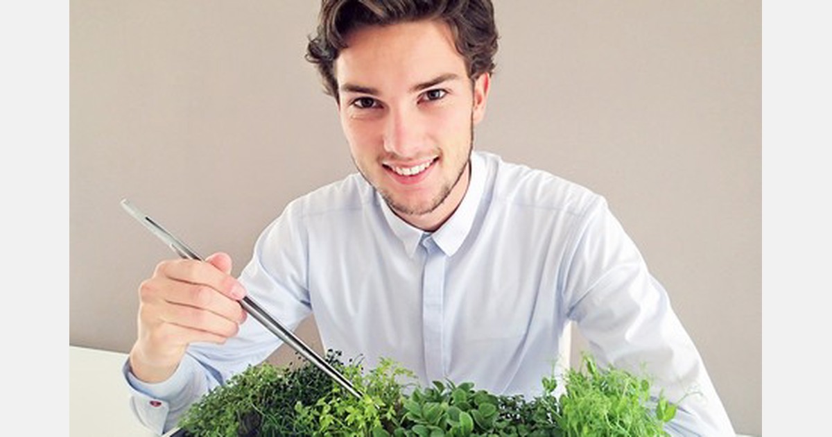 Cress Today: the new way to grow cress
