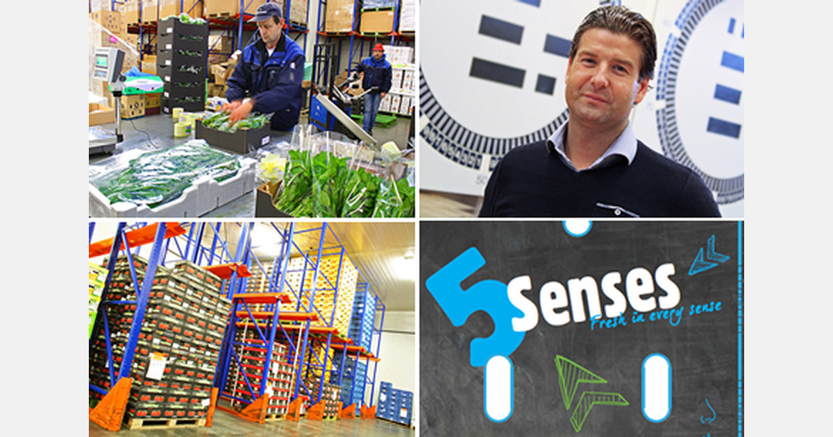 Europe Retail Packing starts harvesting own Dutch herbs