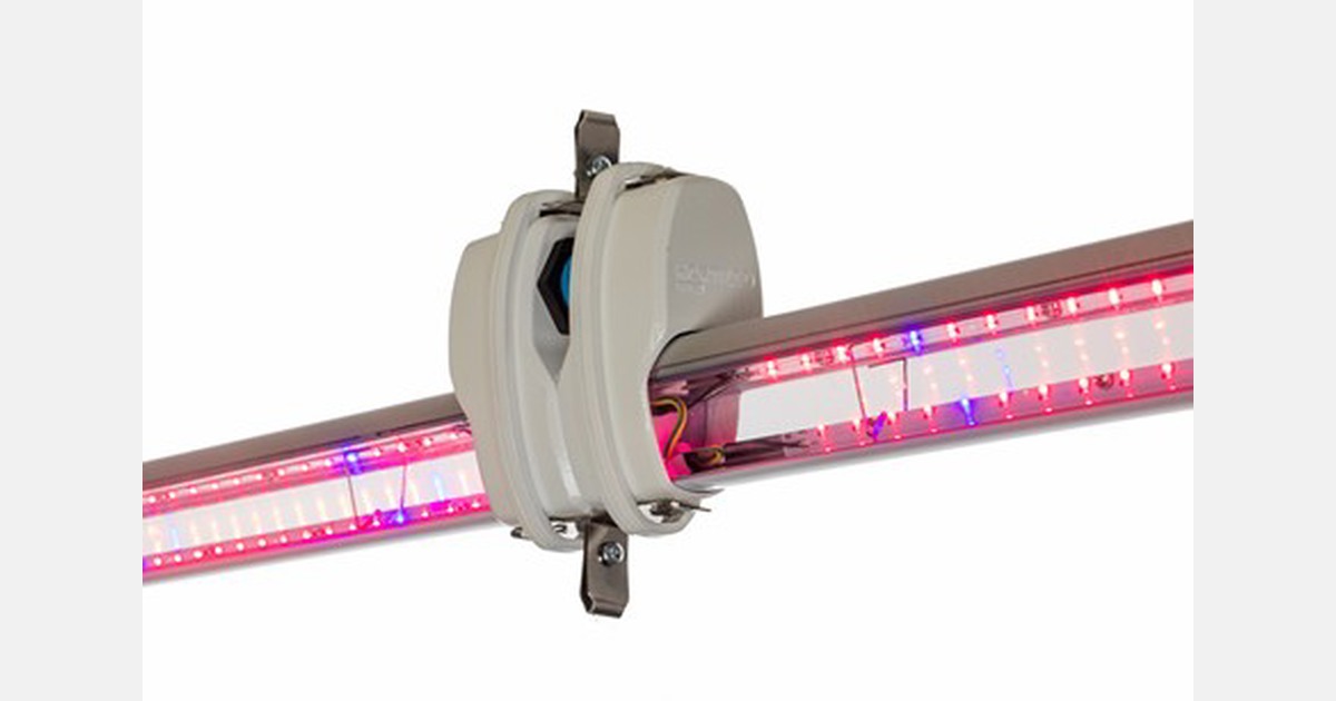 Hortiled Inter wins Dutch industrial design award