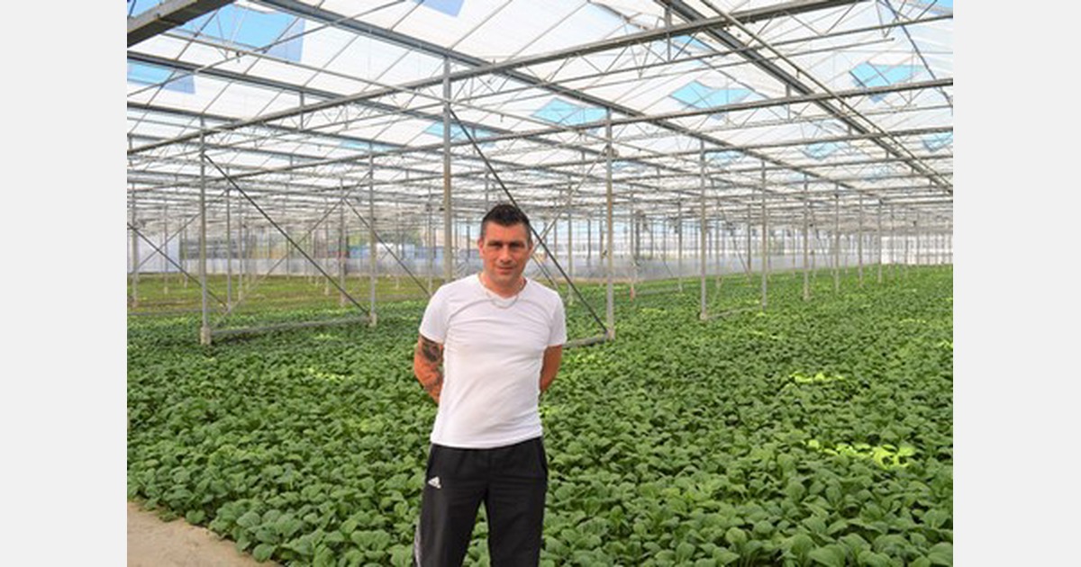 Growing for Indonesian stores: better ten small customers than a big one