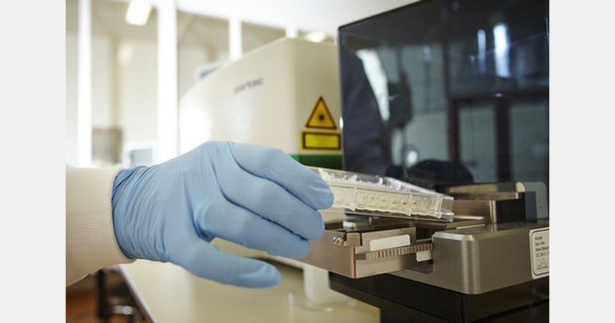 Ploidy determination in plant material regarding flow cytometry