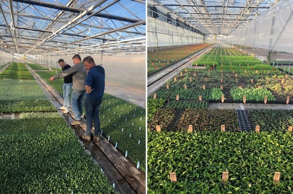 "Biological crop protection only has advantages"