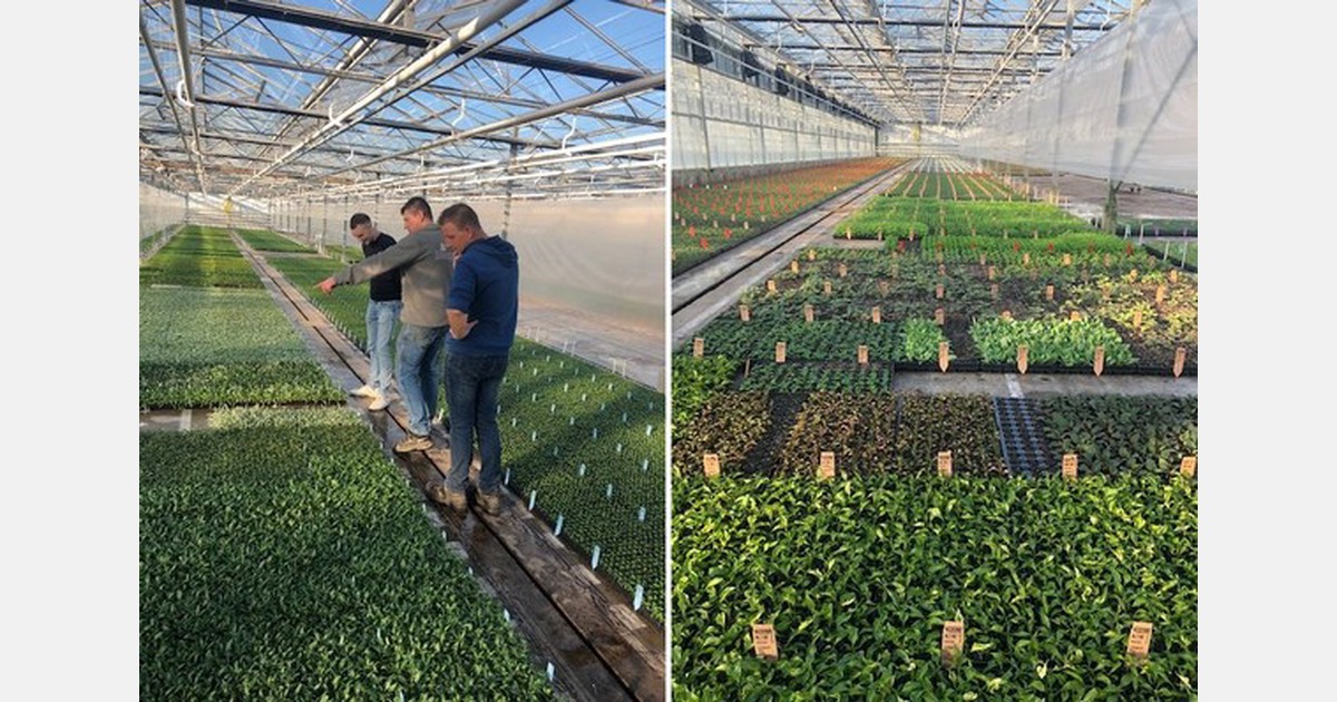 "Biological crop protection only has advantages"