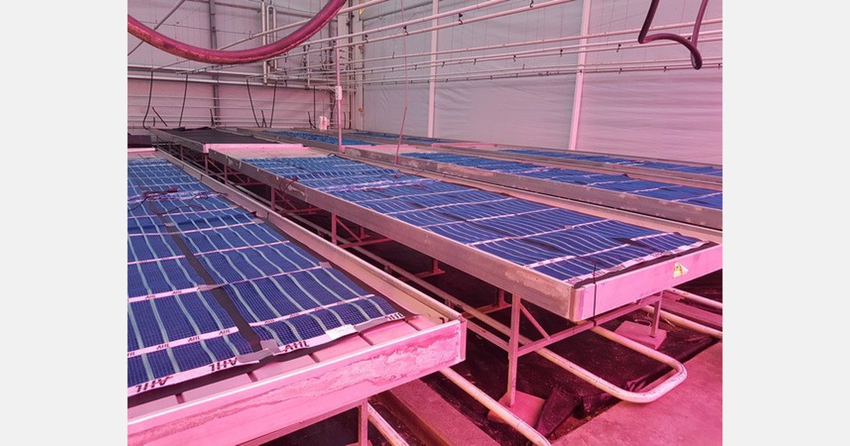 "Revolutionary infrared root zone heating system"