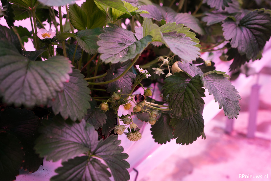 "Students here also learn how smart LED lighting can be applied to ...