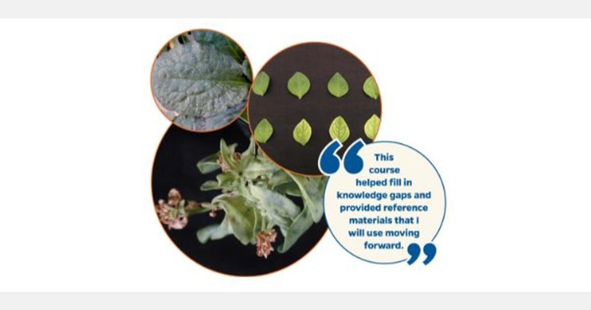 Learn in depth aspects of plant nutrition management in these Training ...