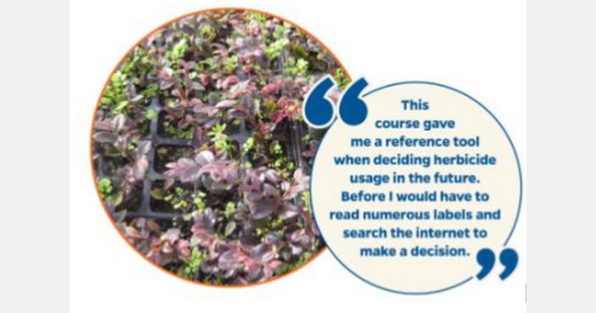 University of Florida Greenhouse organizes Weed Management courses