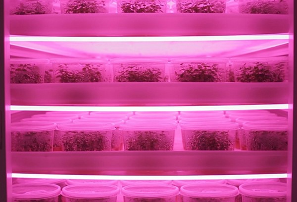 High tech tissue culture lab housed in 40’ shipping container