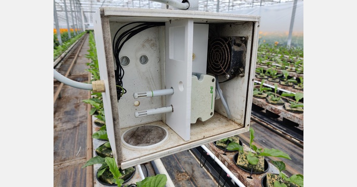 “Climate sensors offer solutions to many growers’ struggles”