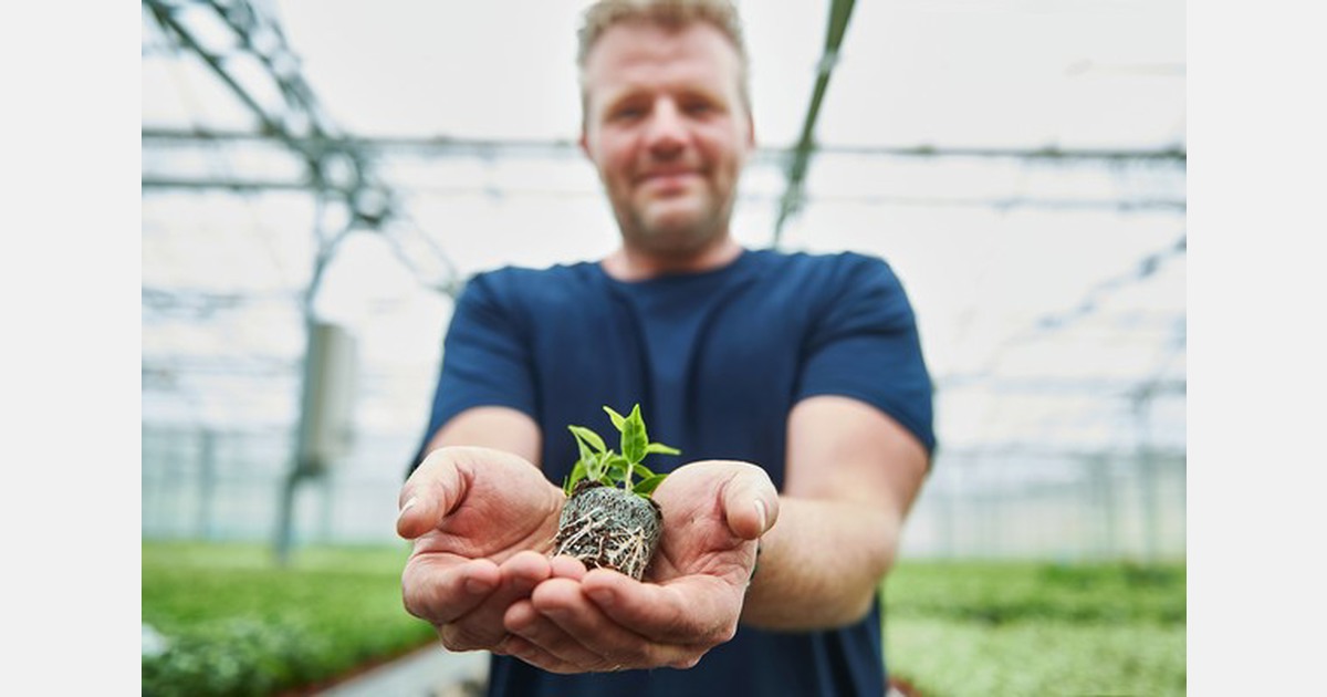 Growcoon wins innovation award at the Salon du Végétal