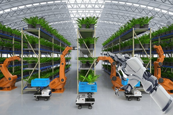 Business-driven digital twins in horticulture