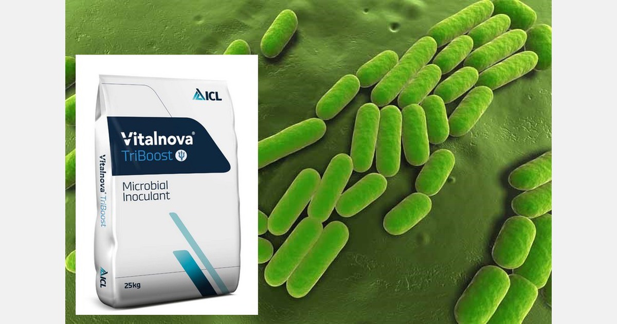 UK: New microbial inoculant delivers tangible benefits in sustainable ...