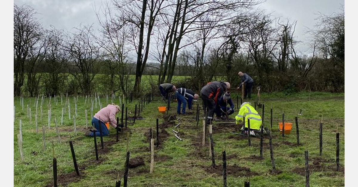 UK: Boal Extrusion plants 100 trees to celebrate safety at Shepshed plant