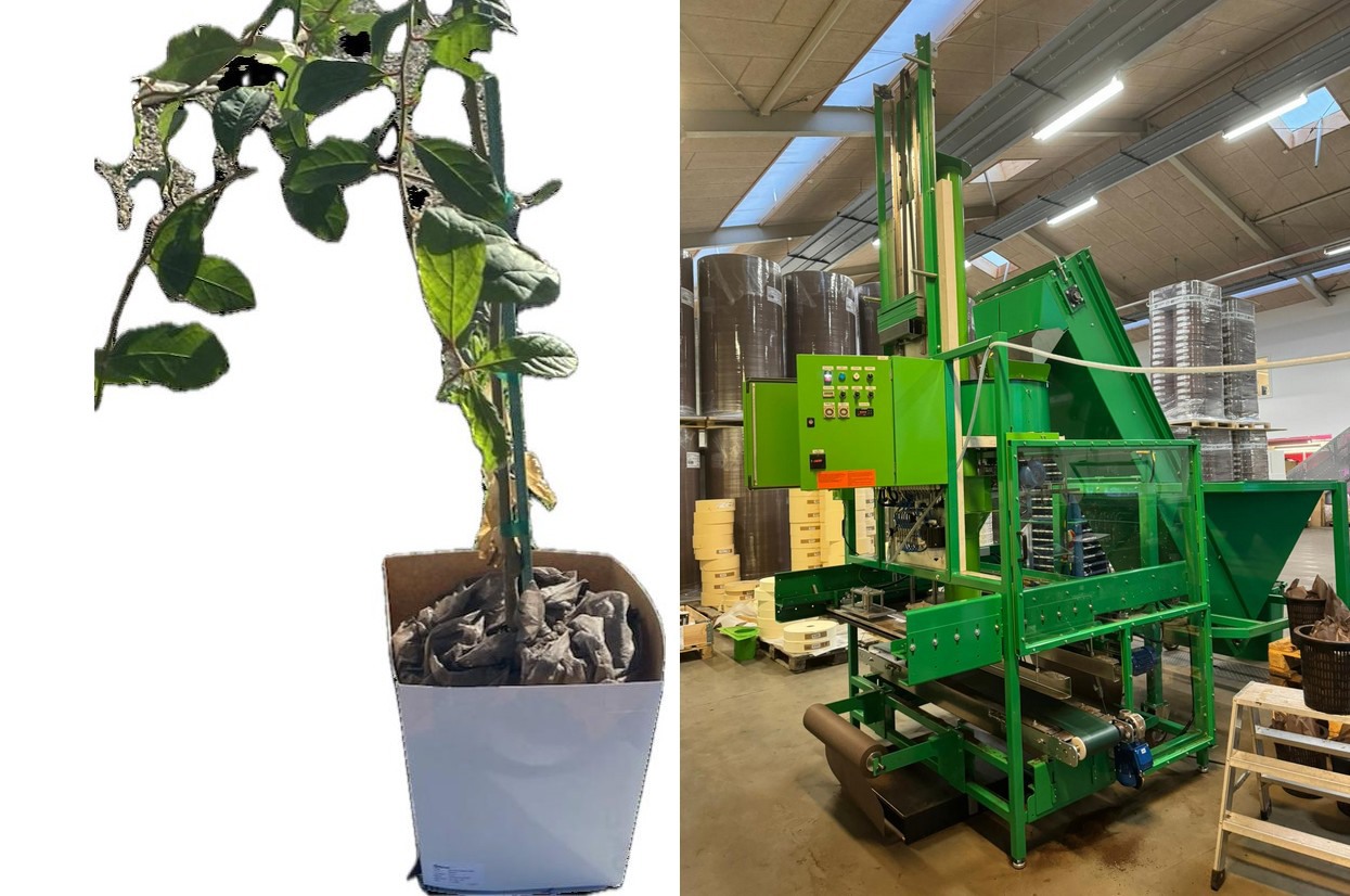 New paper pot potting machine launched IPM