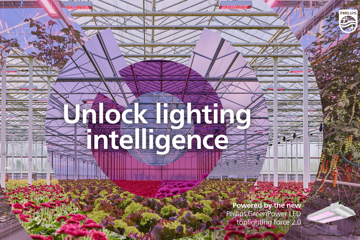 New LED toplighting aims to unlock lighting intelligence