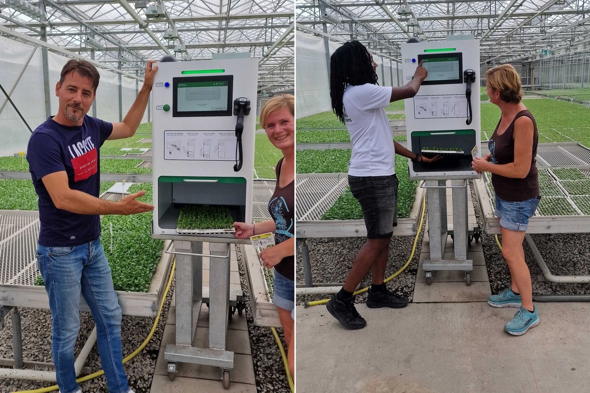 Volmary streamlines usable plants counting with the Seedling Scan Pro