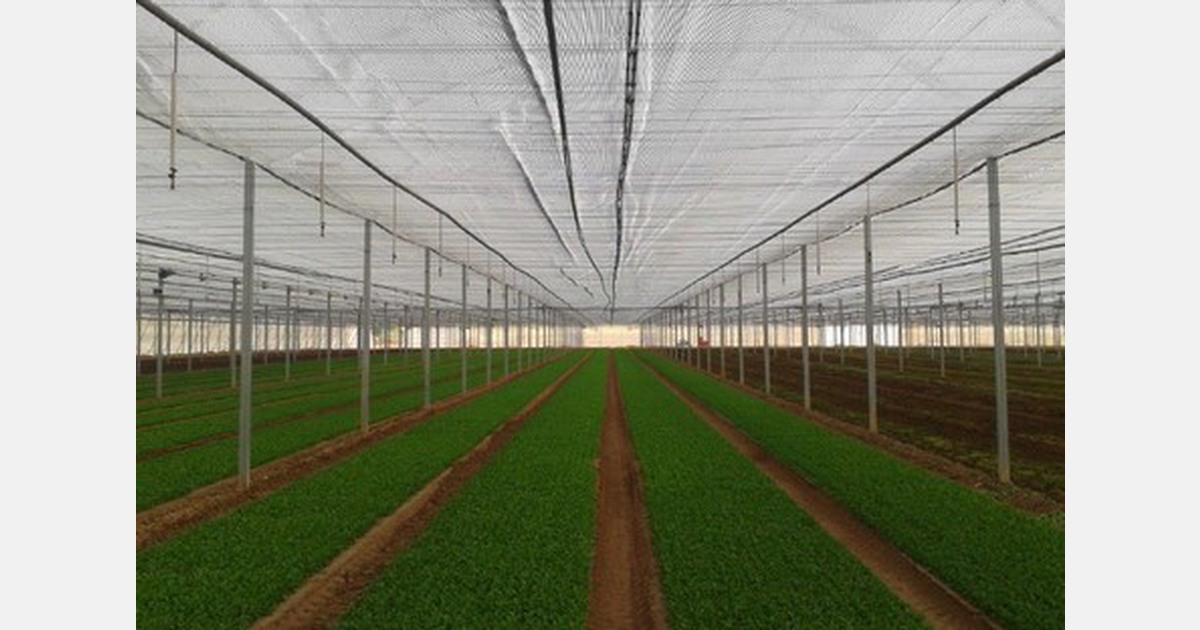 "Combine shading nets, thermal screens for better crop"