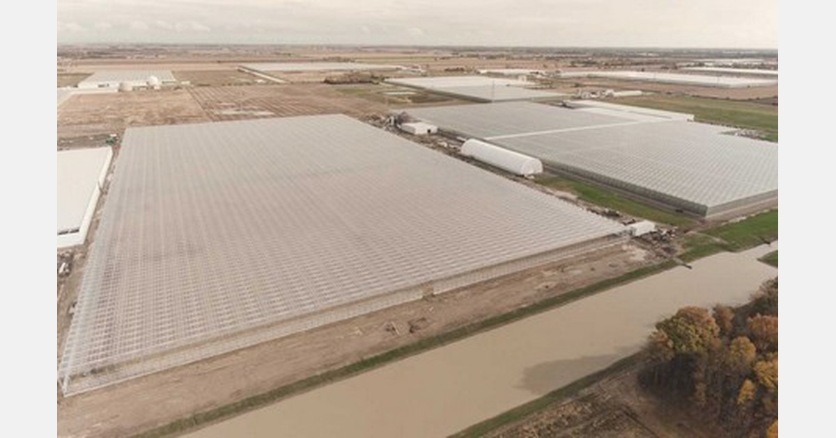 NatureFresh Farms doubles organic production in Canada