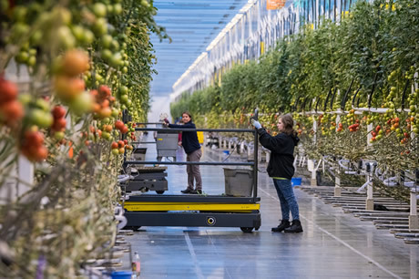 2019 GreenTech Amsterdam promises a glimpse into the future of horticulture