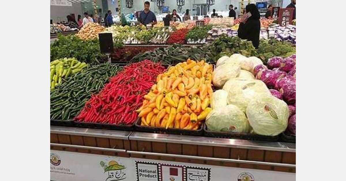 Up to 130 Qatari farms taking part in premium vegetables initiative