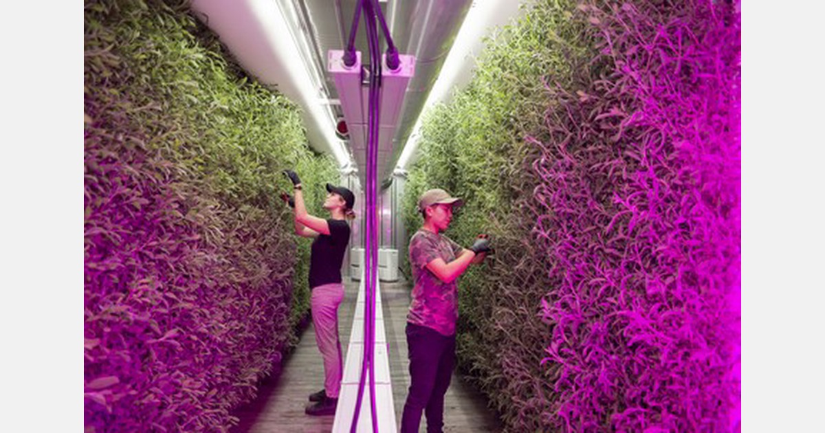 Kimbal Musk's urban farm announces new Michigan location