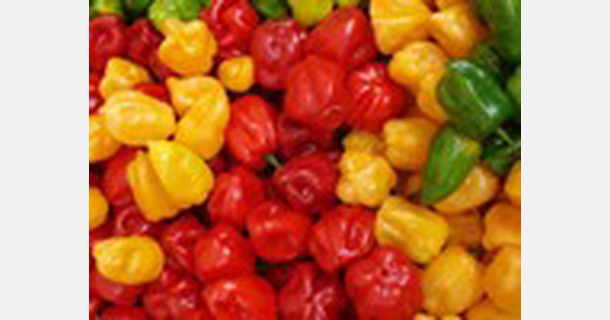 Uganda bans chilli exports to European Union